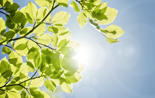 Kampmann US - Kampmann